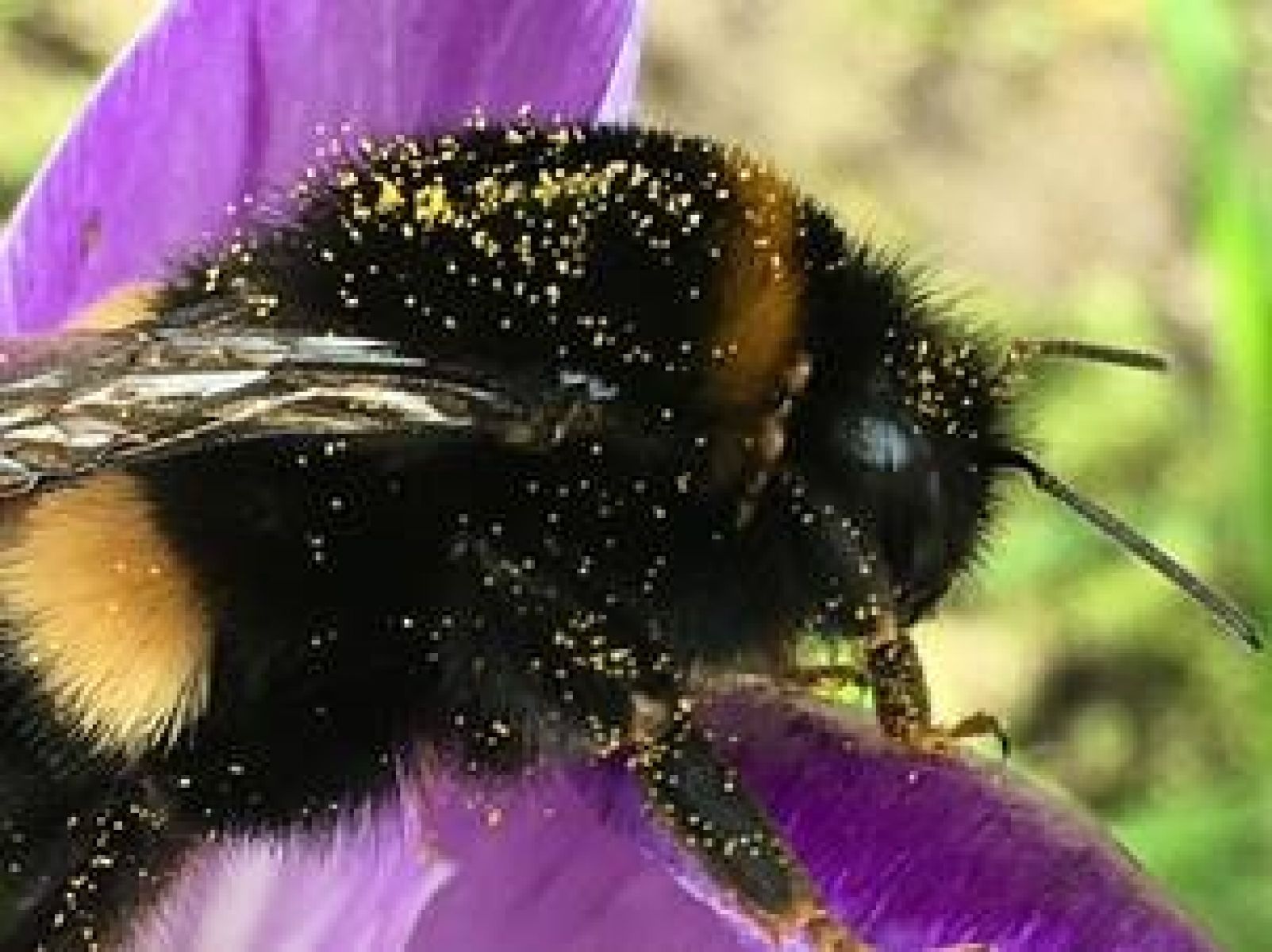 Unique Country Estate In Berkshire | Wasing Estate